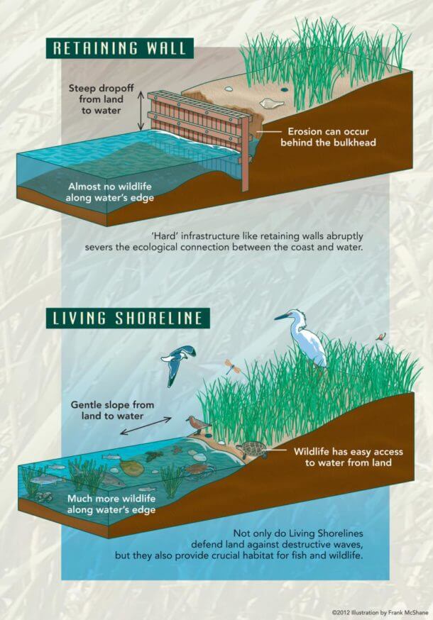 Managing the Watershed - Copake Lake Conservation Society